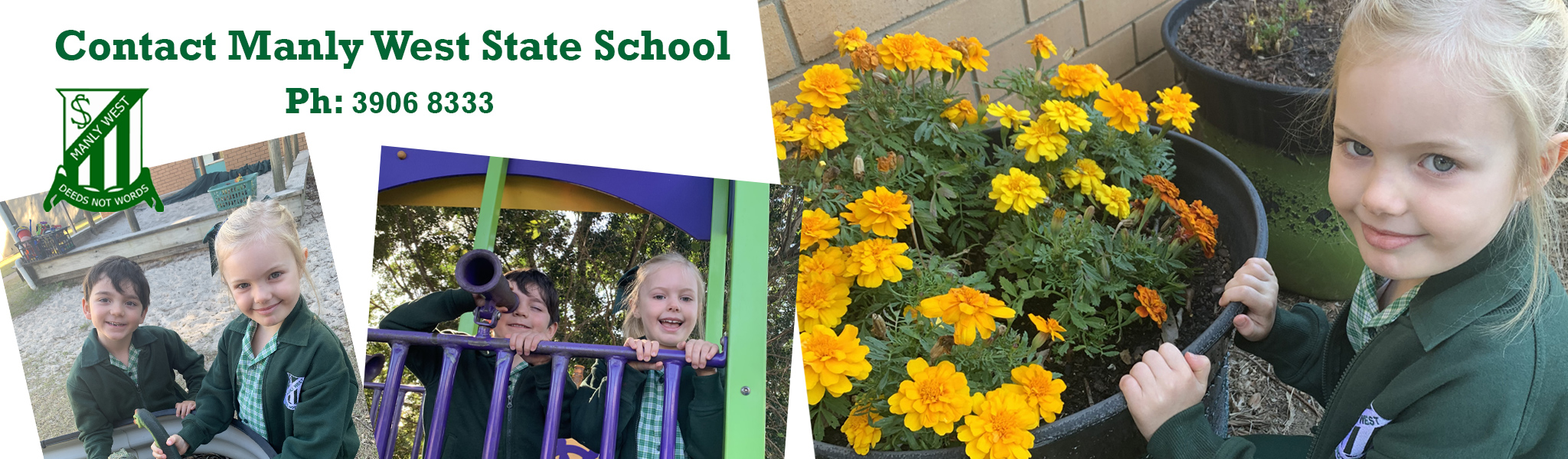 Manly West State School